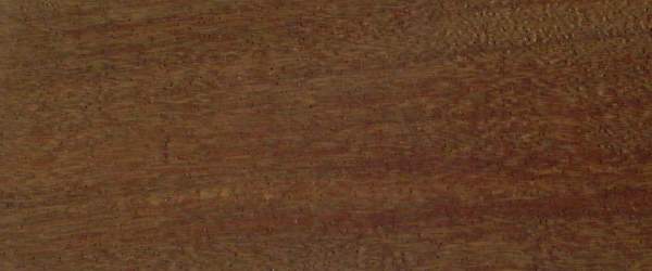 Ironwood Sources? - Solidbody Guitar and Bass Chat - ProjectGuitar.com